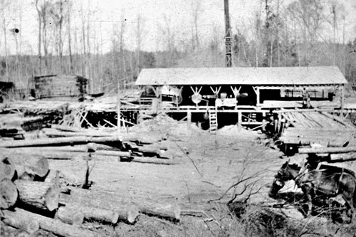 Historically Speaking: How Turner’s Pond got its name | Webster Parish ...