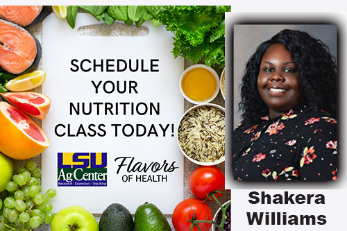LSU AgCenter Flavors of Health Adult Nutrition Programs | Webster ...