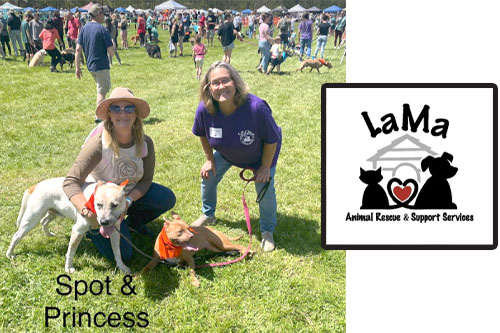 LaMa Rescue and Animal Support Services visits northern rescue partners ...