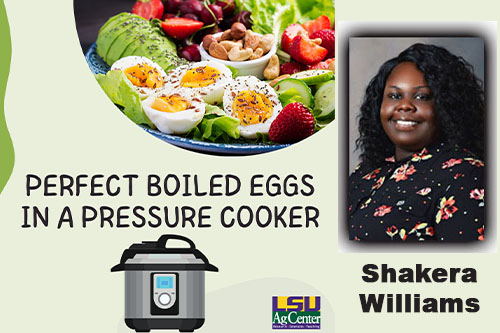 How do pressure cookers work? | Webster Parish Journal