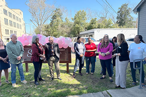 SEEDS planted in Pink Pamper Pantry | Webster Parish Journal