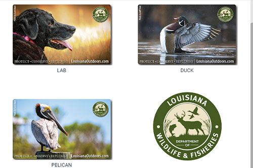 LDWF durable cards available | Webster Parish Journal