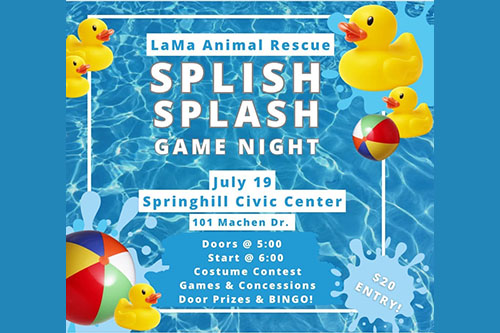 LaMa turns up the fun with upcoming Splish Splash Game Night | Webster ...