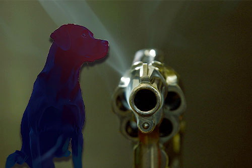 BREAKING NEWS: Sarepta officer arrested in dog shooting incident ...