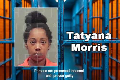 Doyline officer finds narcotics during traffic stop | Webster Parish ...