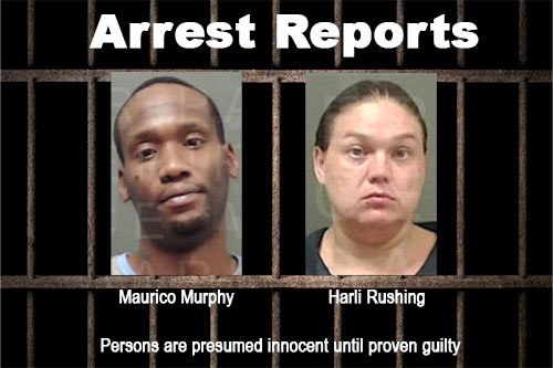 Arrest Reports | Webster Parish Journal