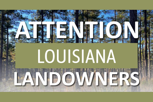How to Improve Your Land for Wildlife! | Webster Parish Journal