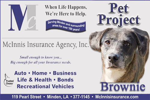 Pet Project: Meet ‘Brownie’ | Webster Parish Journal